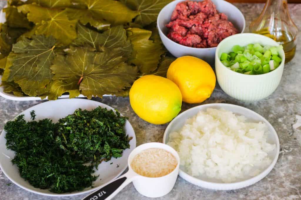 Stuffed Grape Leaves - Mediterranean Latin Love Affair