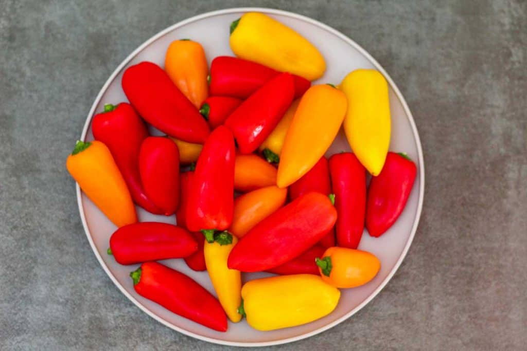 Grilled Mini Peppers - Mediterranean Latin Love Affair