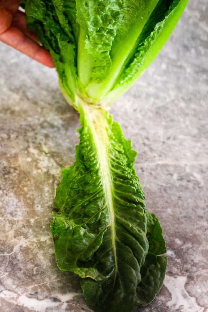 Lettuce, Dill and Feta Cheese Salad - Mediterranean Latin Love Affair