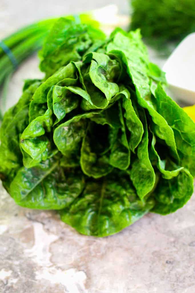 Lettuce, Dill and Feta Cheese Salad - Mediterranean Latin Love Affair