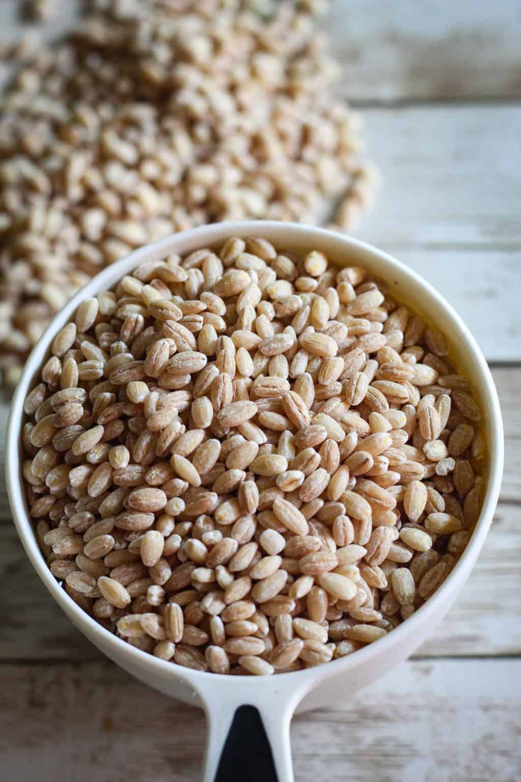 Beef Barley Stew with Leeks - Mediterranean Latin Love Affair
