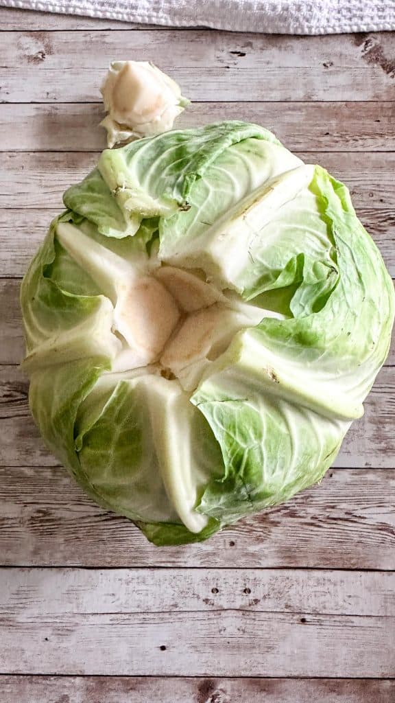 Albanian Cabbage Rolls (Sarma) - Mediterranean Latin Love Affair