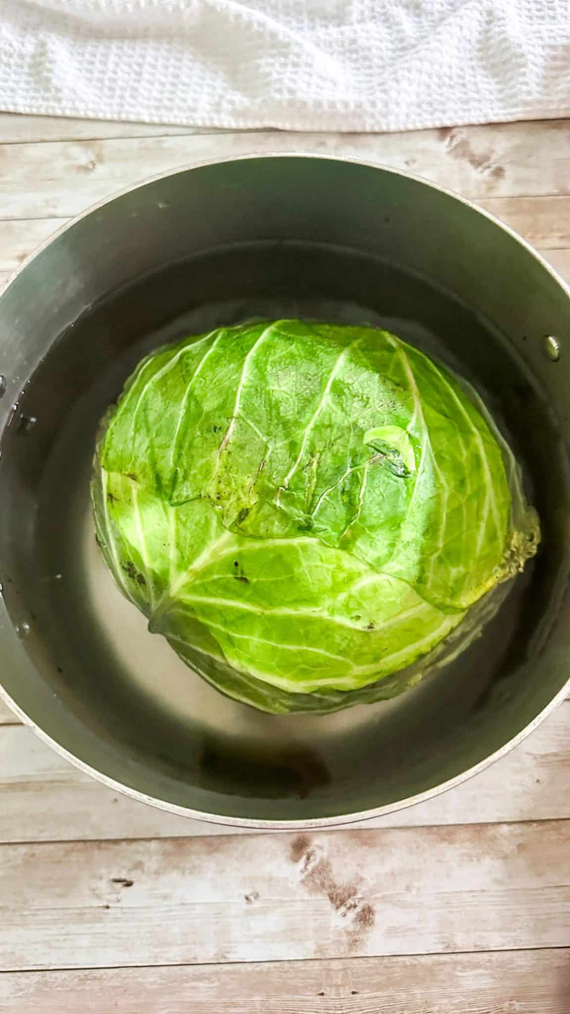 Albanian Cabbage Rolls (Sarma) - Mediterranean Latin Love Affair